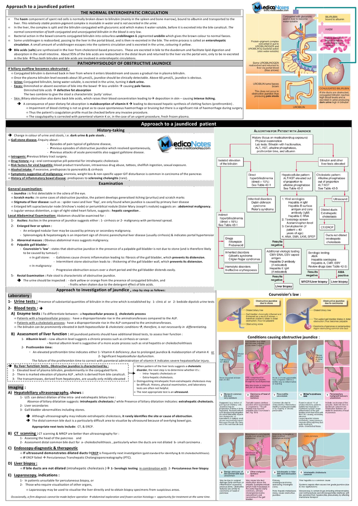 Internal Medicine E-Book | Internal Medicine Notes | MedicoNotes Internal Medicine E-Book | Internal Medicine Notes | MedicoNotes