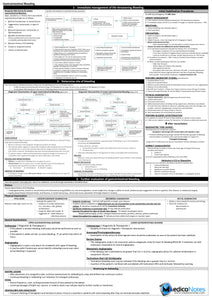 Online Medical Education | Notes and E-Books | MedicoNotes